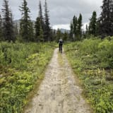 Resurrection Pass Trail, Alaska - 250 Reviews, Map | AllTrails