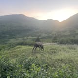 Wolverine Peak via Basher Trail, Alaska - 707 Reviews, Map | AllTrails