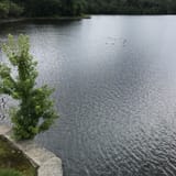 Lake Scranton Loop, Pennsylvania - 606 Reviews, Map | AllTrails