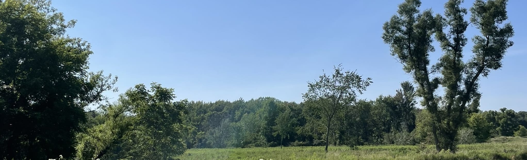 Brauer Preserve: Blue, Yellow, Green and Red Trail Loop, Michigan - 80 ...