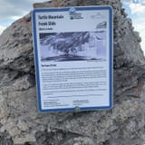 Turtle Mountain Trail, Alberta, Canada - 802 Reviews, Map | AllTrails