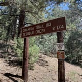 Chamisa Trail, New Mexico - 1,174 Reviews, Map | AllTrails