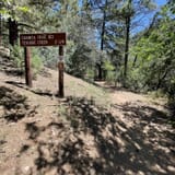 Chamisa Trail, New Mexico - 1,174 Reviews, Map | AllTrails