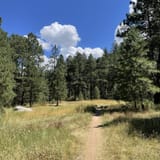 Chamisa Trail, New Mexico - 1,174 Reviews, Map | AllTrails