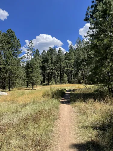 10 Best Camping Trails in Santa Fe National Forest | AllTrails