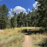Chamisa Trail, New Mexico - 1,174 Reviews, Map | AllTrails