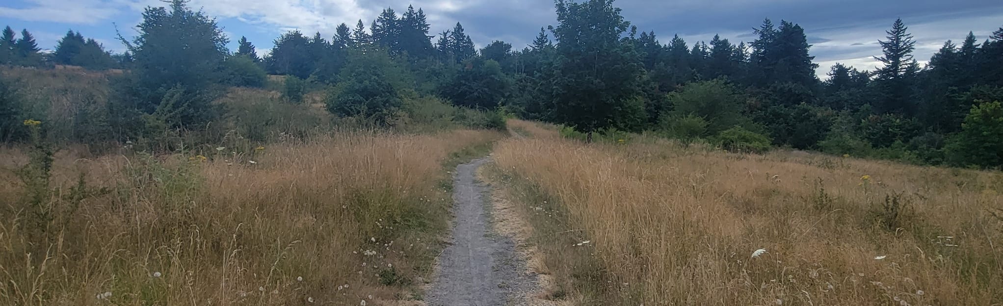 Powell Butte Full Trail System Loop, Oregon - 249 Reviews, Map | AllTrails