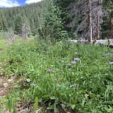 Jones Pass via Jones Pass Road, Colorado - 418 Reviews, Map | AllTrails