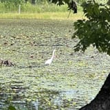 Cash Lake Loop Trail, Maryland - 1,042 Reviews, Map | AllTrails