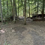 Cash Lake Loop Trail, Maryland - 1,042 Reviews, Map | AllTrails