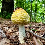 Rock Dunder, Ontario, Canada - 1,025 Reviews, Map | AllTrails