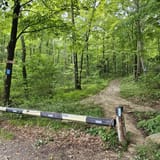 Whitestone Cliffs Trail, Connecticut - 580 Reviews, Map | AllTrails