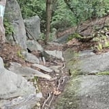 Whitestone Cliffs Trail, Connecticut - 580 Reviews, Map | AllTrails