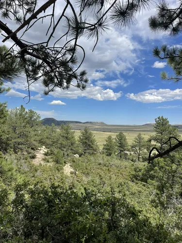 10 Best Trails and Hikes in Larkspur | AllTrails