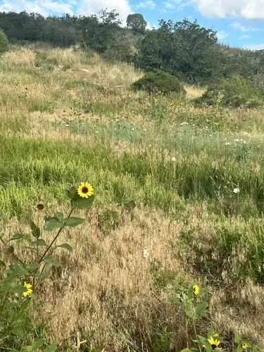 Best Hikes and Trails in Ken Caryl Ranch Foundation Open Space | AllTrails