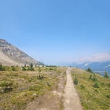 Bow Summit Viewpoint, Alberta, Canada - 737 Reviews, Map | AllTrails