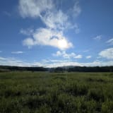 The Windham Path, New York - 510 Reviews, Map | AllTrails