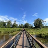 The Windham Path, New York - 510 Reviews, Map | AllTrails