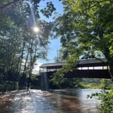 The Windham Path, New York - 510 Reviews, Map | AllTrails
