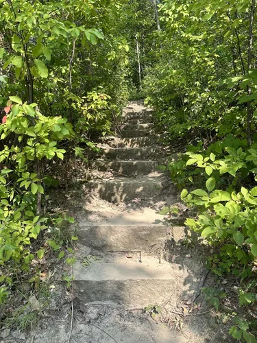 2023 Best Wild Flowers Trails in Solon | AllTrails