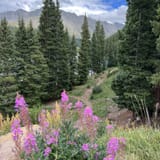 Clinton Gulch Dam Reservoir, Colorado - 615 Reviews, Map | AllTrails