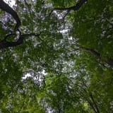 Parnell Tower Trail, Wisconsin - 813 Reviews, Map | AllTrails