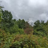 Parnell Tower Trail, Wisconsin - 813 Reviews, Map | AllTrails