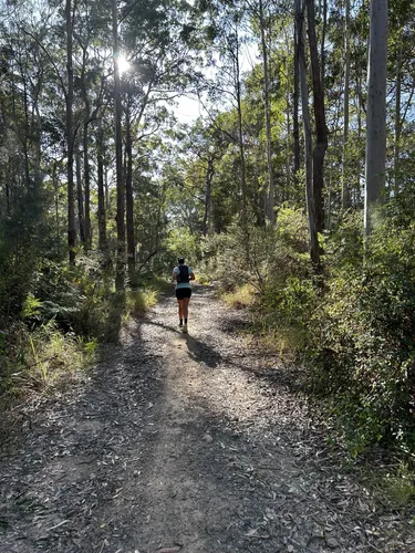 Best Hikes and Trails in Mapleton Conservation Park | AllTrails