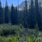 Gilpin Lake Trail, Colorado - 566 Reviews, Map | AllTrails
