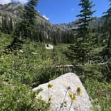 Gilpin Lake Trail, Colorado - 566 Reviews, Map | AllTrails