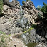 Treasure Falls Trail, Colorado - 1,173 Reviews, Map | AllTrails