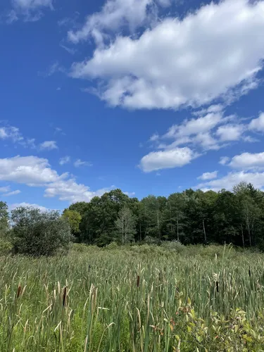 10 Best Hikes and Trails in Brighton State Recreation Area | AllTrails