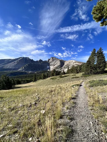 10 Best Hikes and Trails in Great Basin National Park | AllTrails
