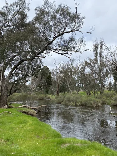 Best Hikes and Trails in Nannup | AllTrails