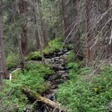 Officers Gulch, Colorado - 670 Reviews, Map | AllTrails