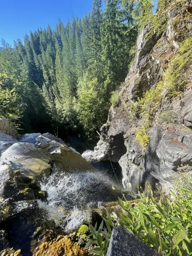 2023 Best Dog Friendly Trails in Cowichan Valley F | AllTrails