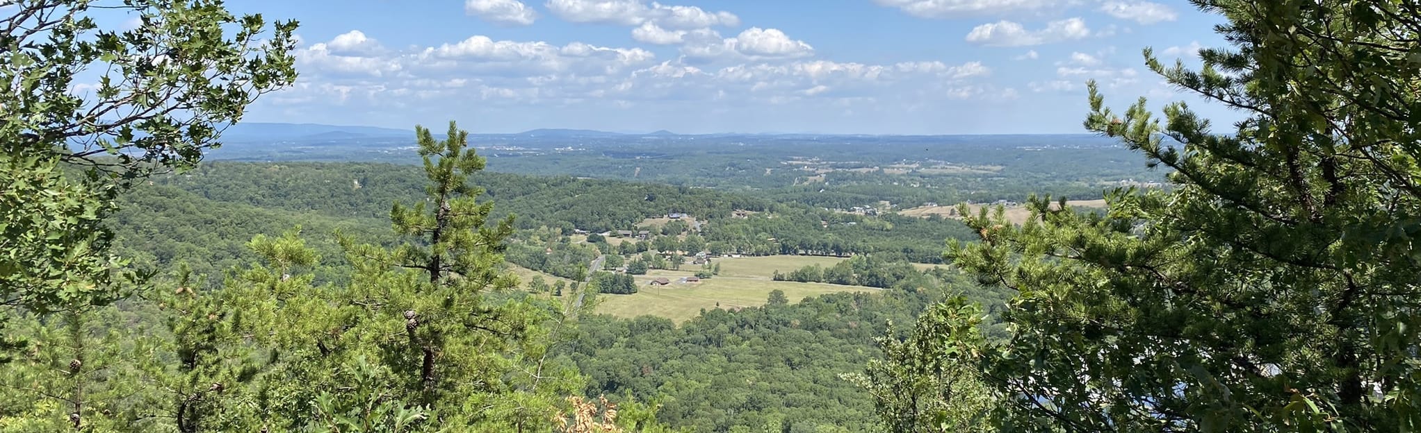 Buzzard Rock, Virginia - 1,559 Reviews, Map | AllTrails
