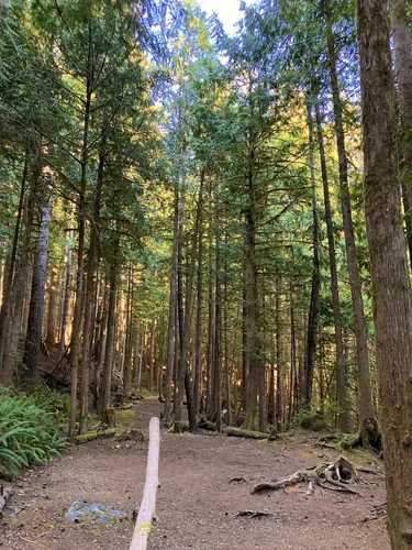 Best Hikes and Trails in Lizard Lake Recreation Site | AllTrails