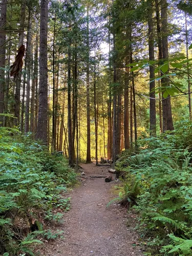 Best Hikes and Trails in Lizard Lake Recreation Site | AllTrails