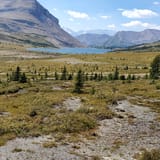 Skoki Loop Backpacking Trail, Alberta, Canada - 363 Reviews, Map ...
