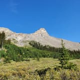 Skoki Loop Backpacking Trail, Alberta, Canada - 366 Reviews, Map ...