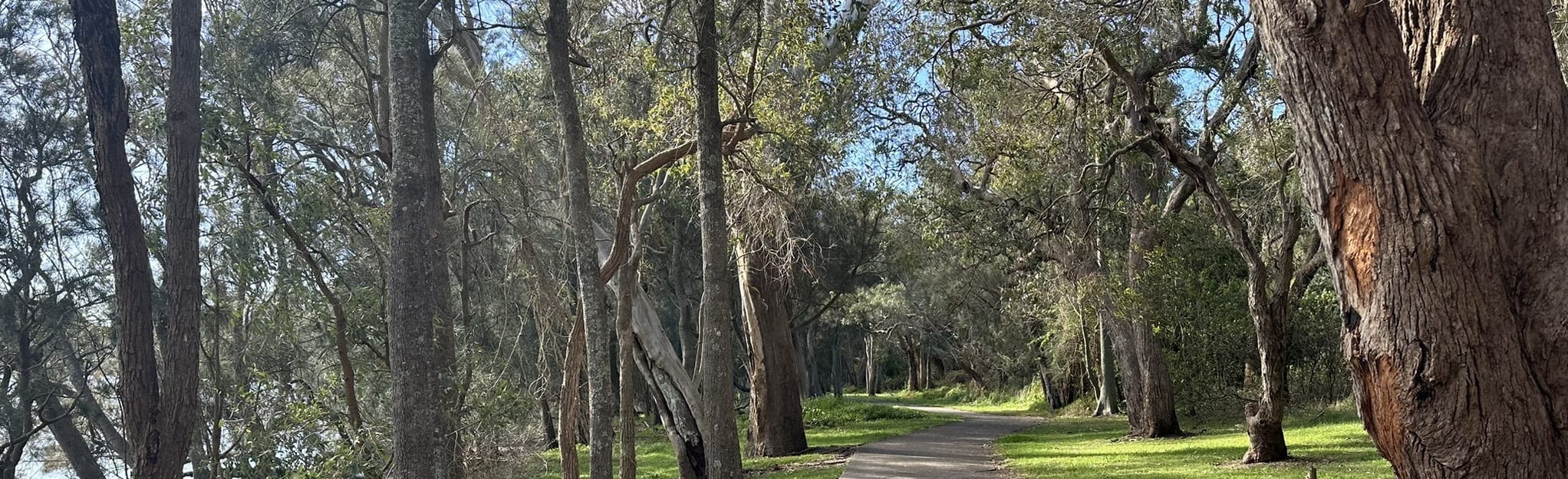 Tuggerah Lake Loop: 17 Reviews, Map - New South Wales, Australia ...