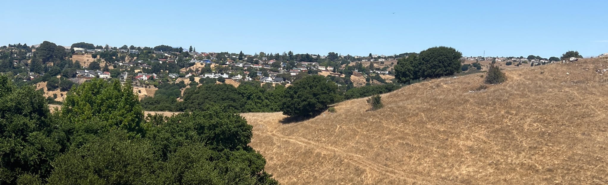 Bailey Ranch and Vista Peak Trail, California - 88 Reviews, Map | AllTrails