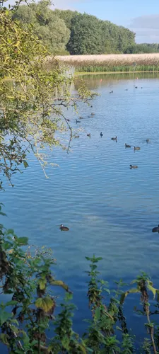 2023 Best Trails, Walks, and Paths in Trappes | AllTrails