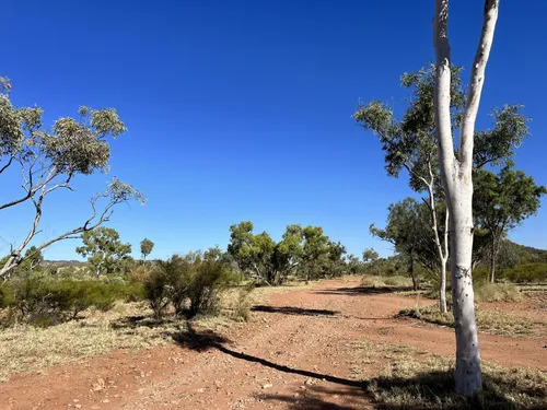 2023 Best River Trails in Mount Isa | AllTrails