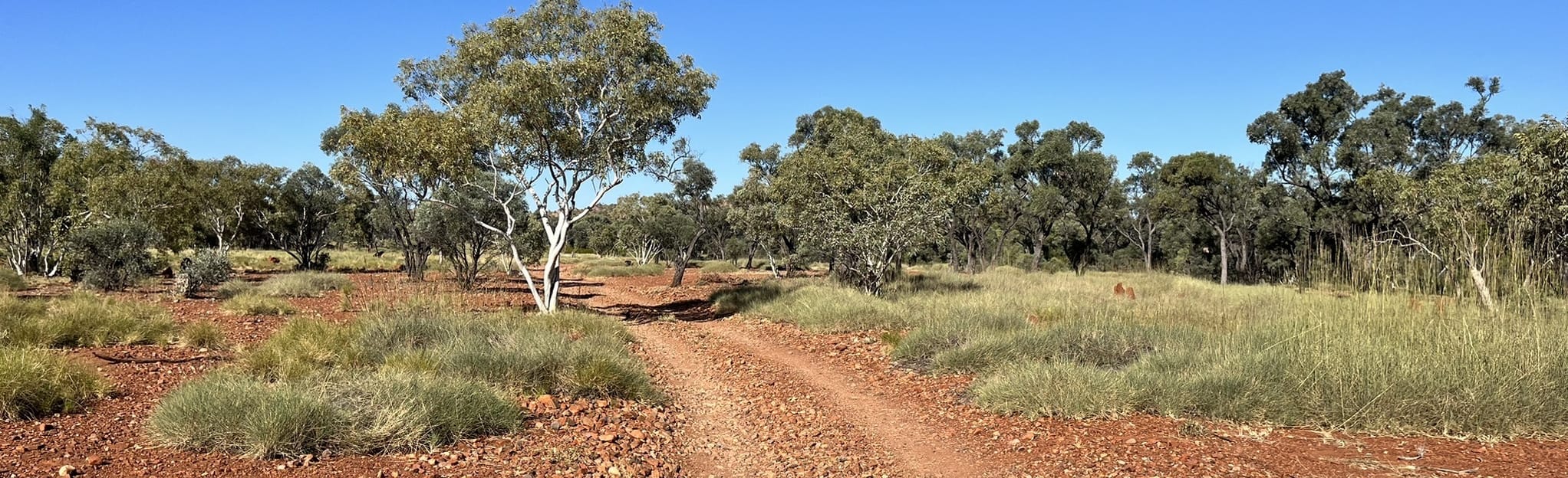 Three Steps 4x4 Circuit: 15 foto's - Queensland, Australië | Wandelen ...