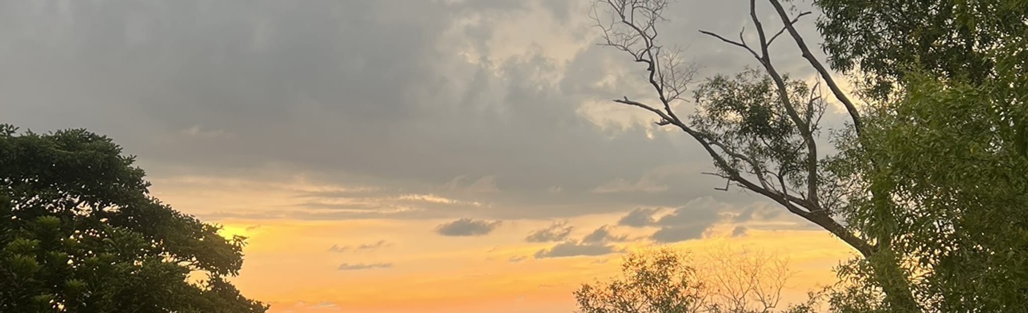 Bukit Kopungit and Kepayan Ridge Loop, Sabah, Malaysia - 24 Reviews ...