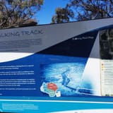 Dorntj Koorliny - Burlong Pool, Western Australia, Australia - 15 ...