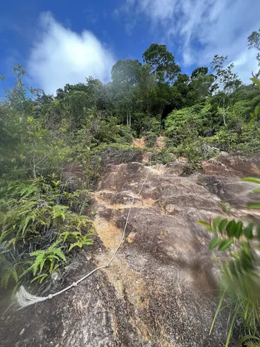 2023 Best 10 Walking Trails in Batu Ferringhi | AllTrails