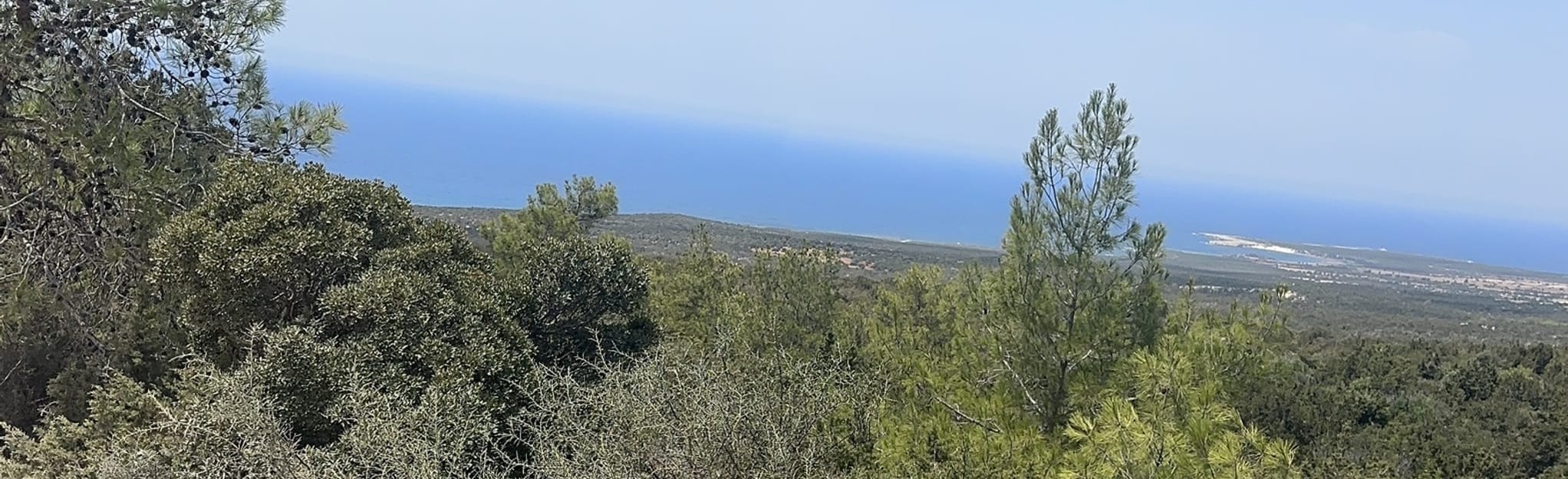 Pano Arodes - Lara Bay: 25 fotos - Pafos, Chipre | AllTrails